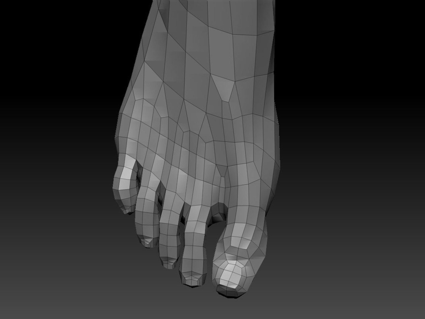 Human Foot 3D Model - TurboSquid 1513287