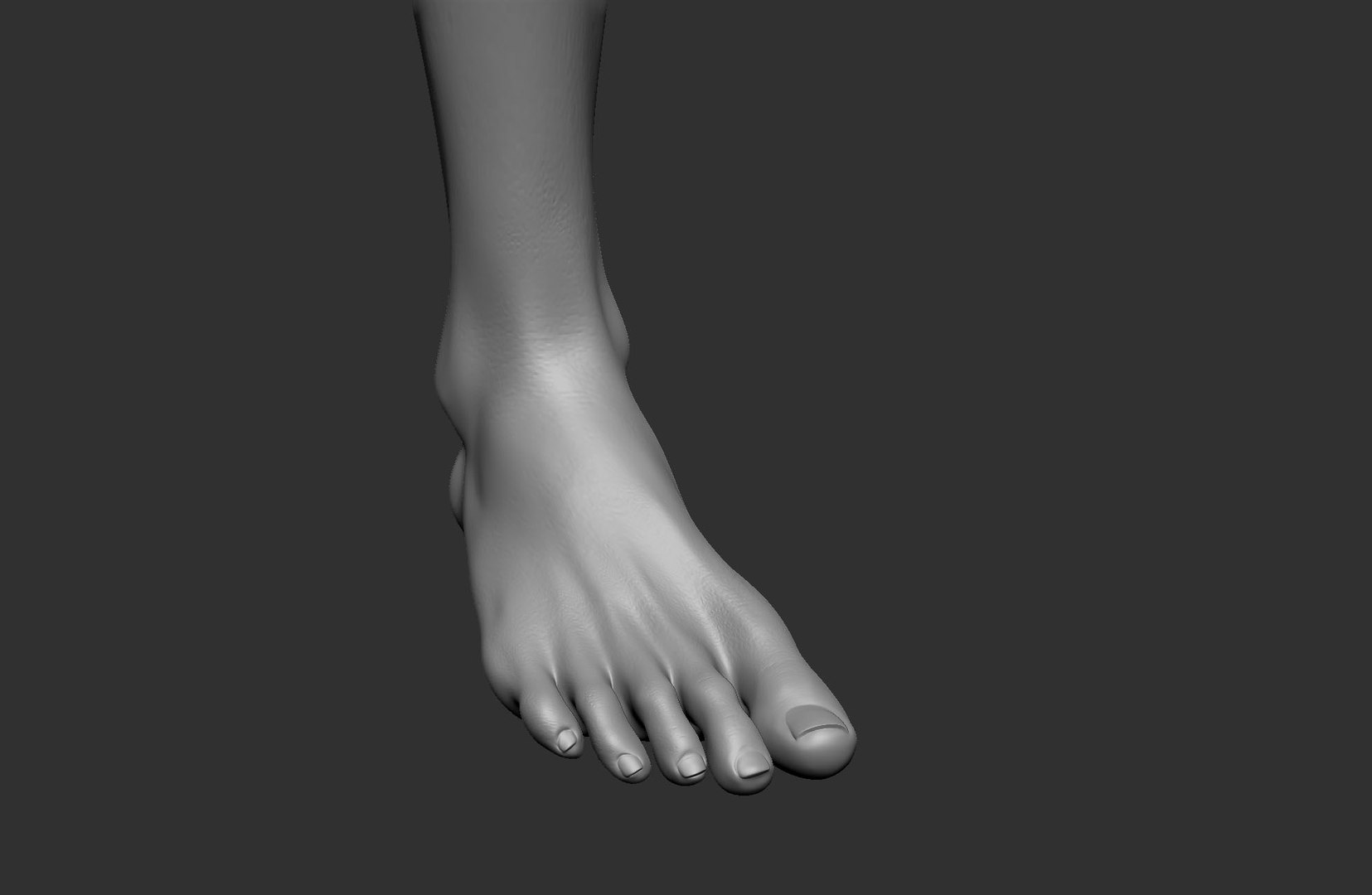 Human Foot 3D Model - TurboSquid 1513287
