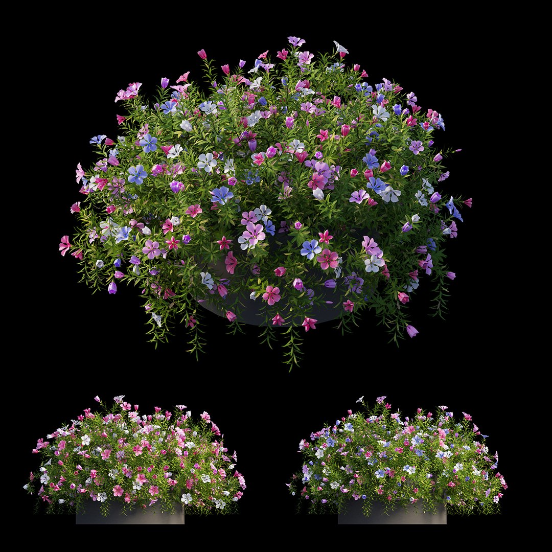 Plant flower set 16 3D model - TurboSquid 1537989