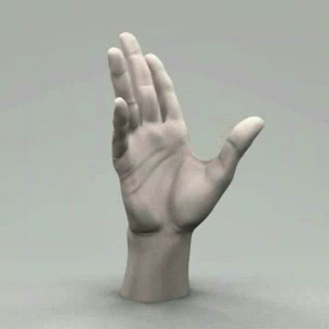 Human Hand 3d Model
