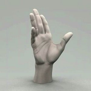 Hand 3D Models for Download | TurboSquid