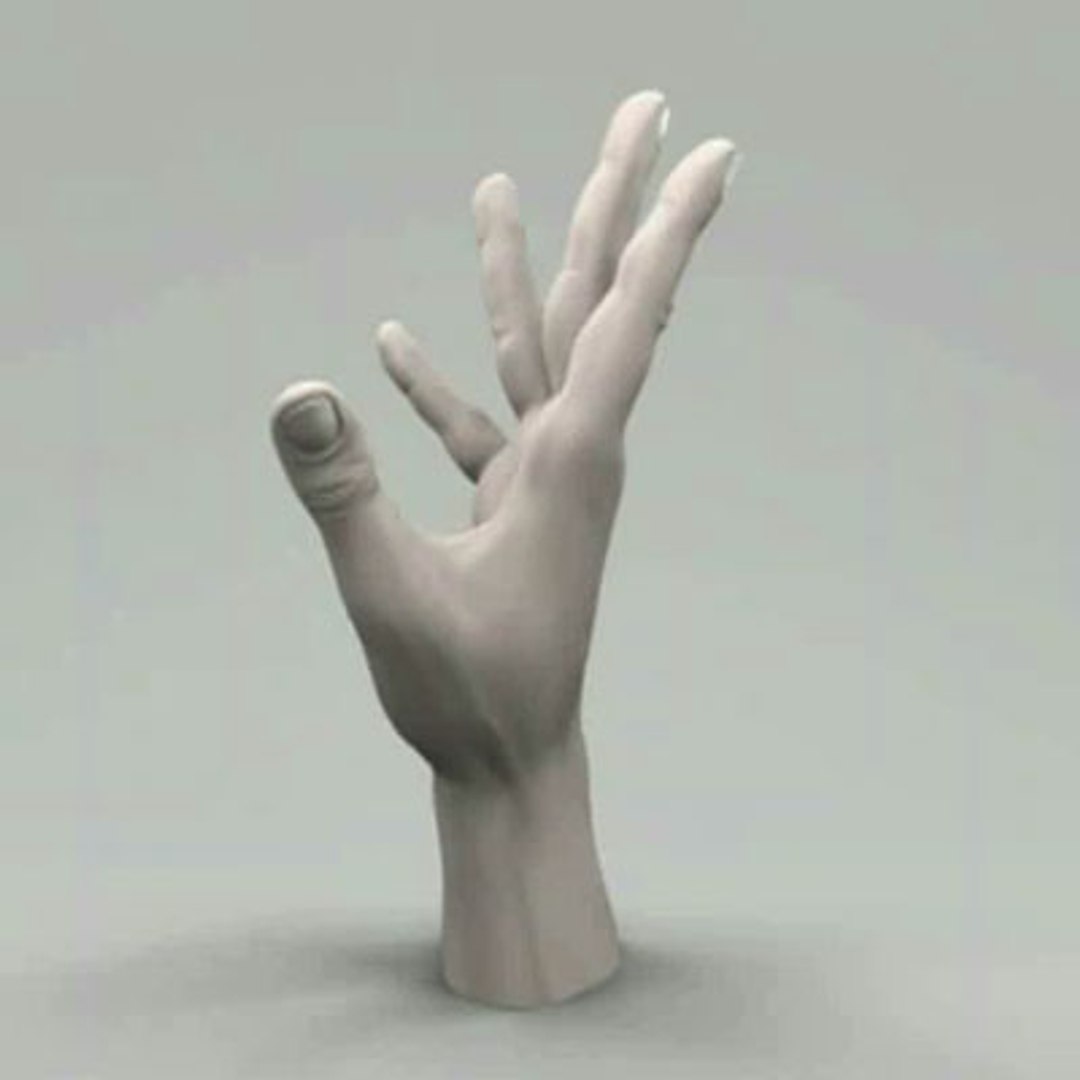 Human Hand 3d Model
