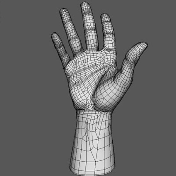 human hand 3d model