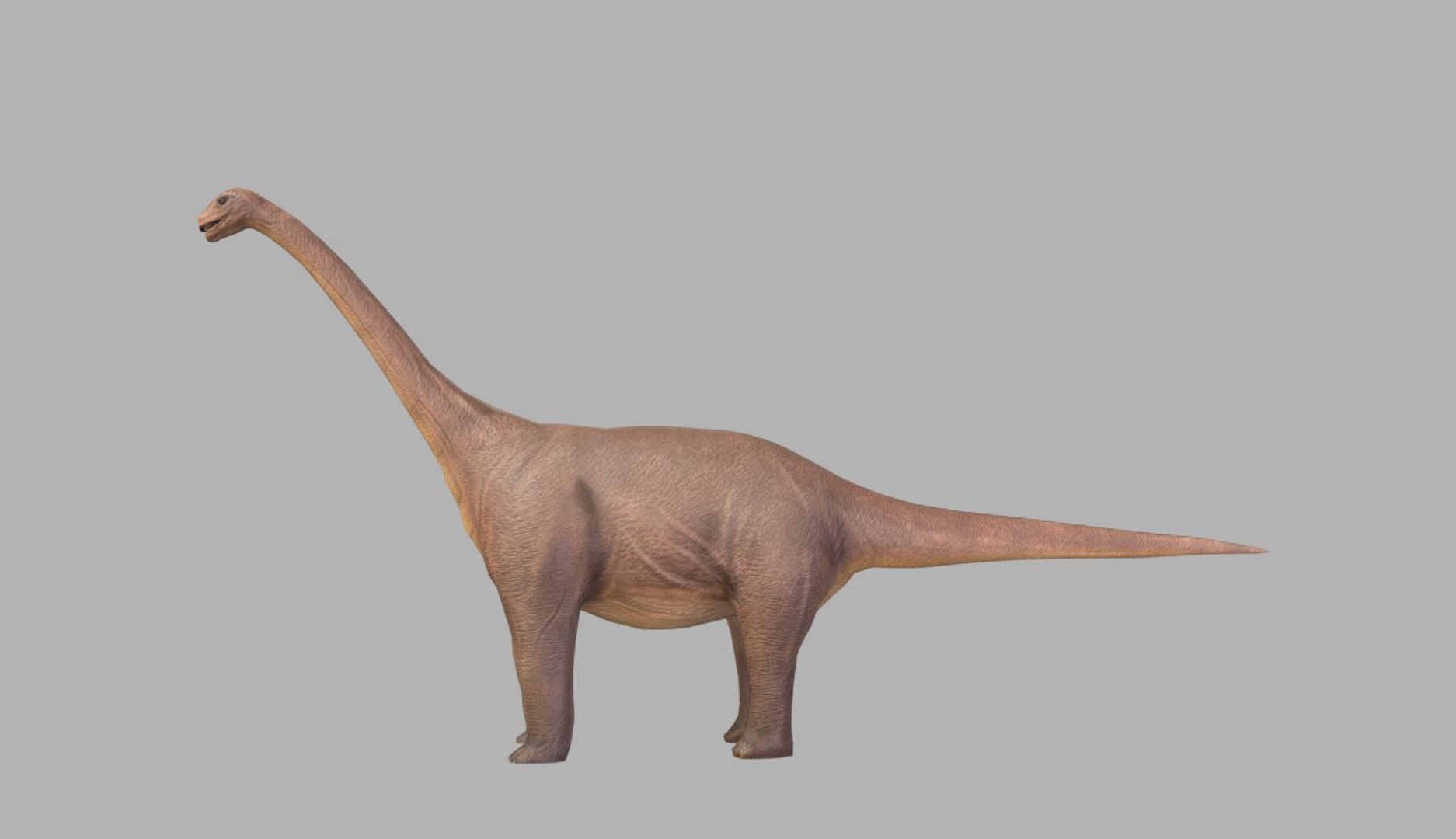 Sauropod 3D model - TurboSquid 1322250