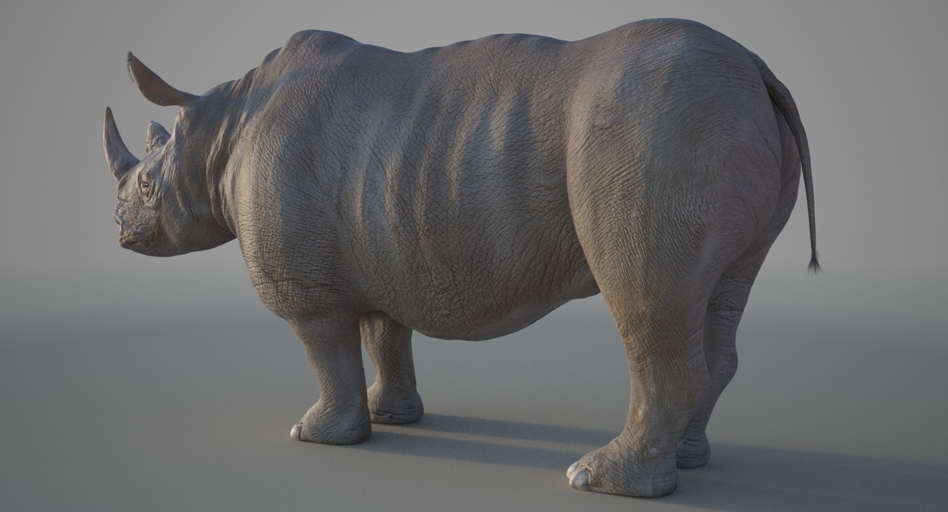 3d Realistic Rhino