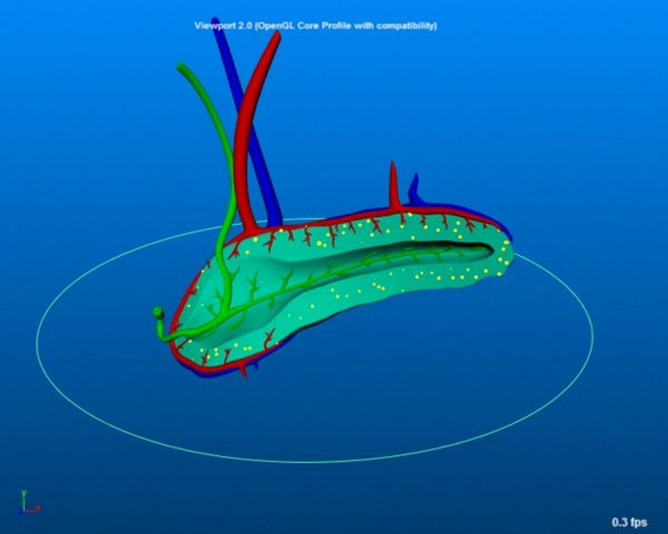 Pancreas organ 3D model - TurboSquid 1346081