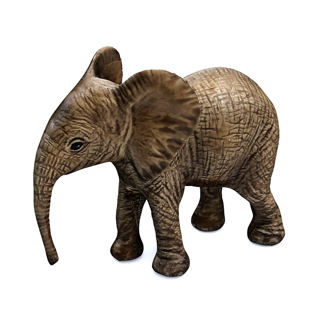 Realistic Baby Elephant 3D Model - TurboSquid 2251050