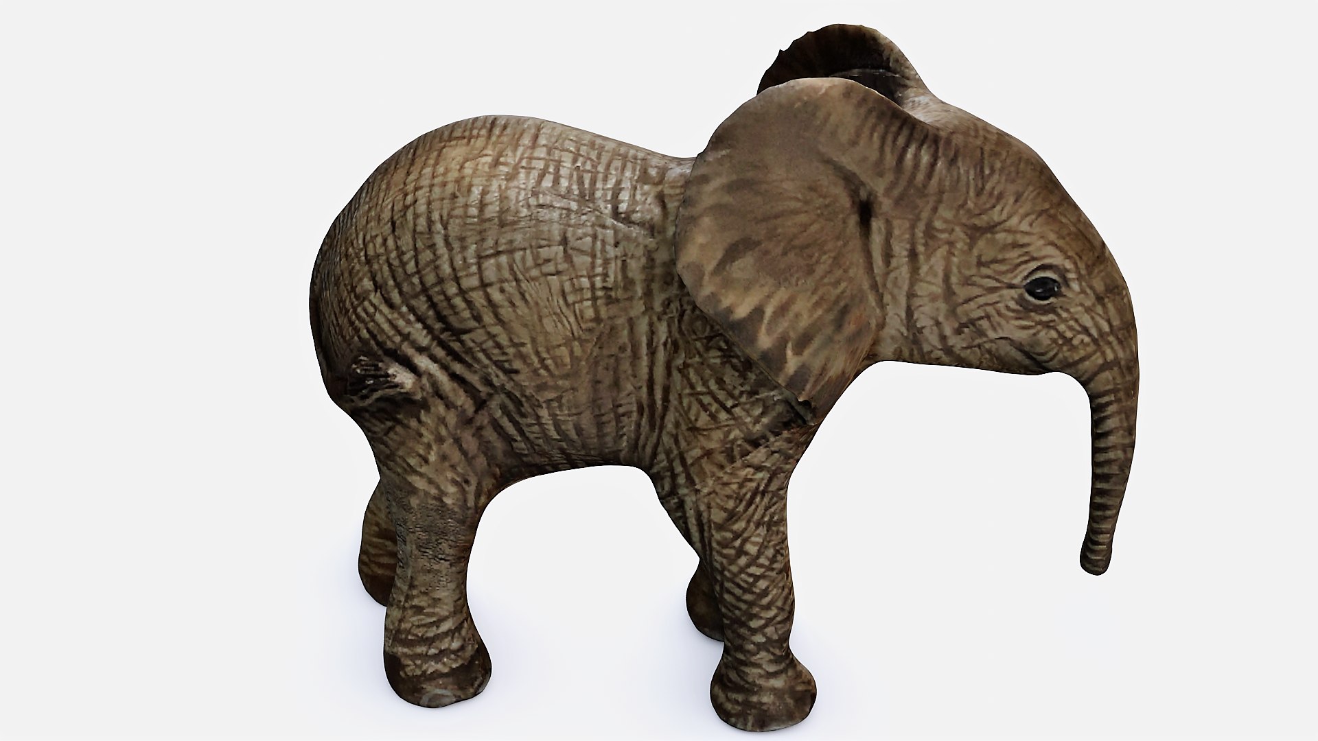 Realistic Baby Elephant 3D Model - TurboSquid 2251050