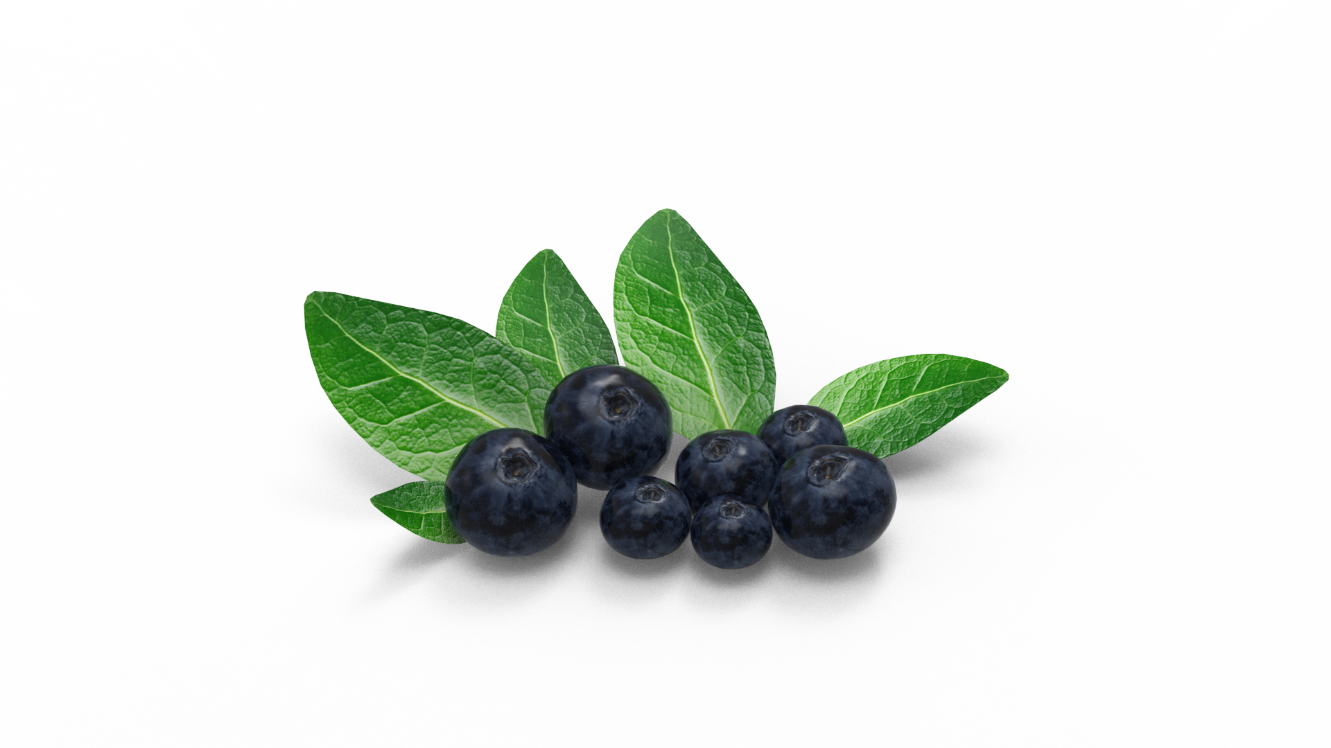 3D Model Blueberry With Leaf 3D - TurboSquid 2073654