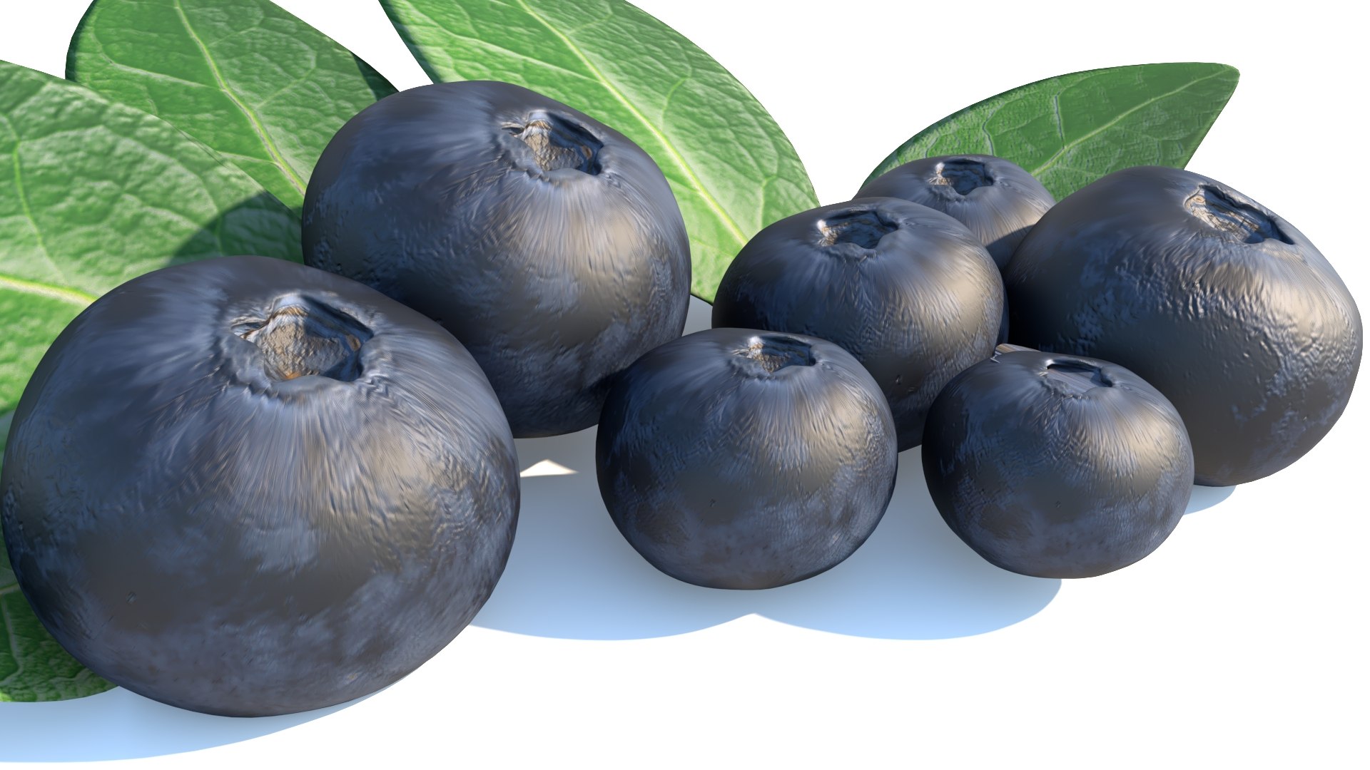 3D Model Blueberry With Leaf 3D - TurboSquid 2073654