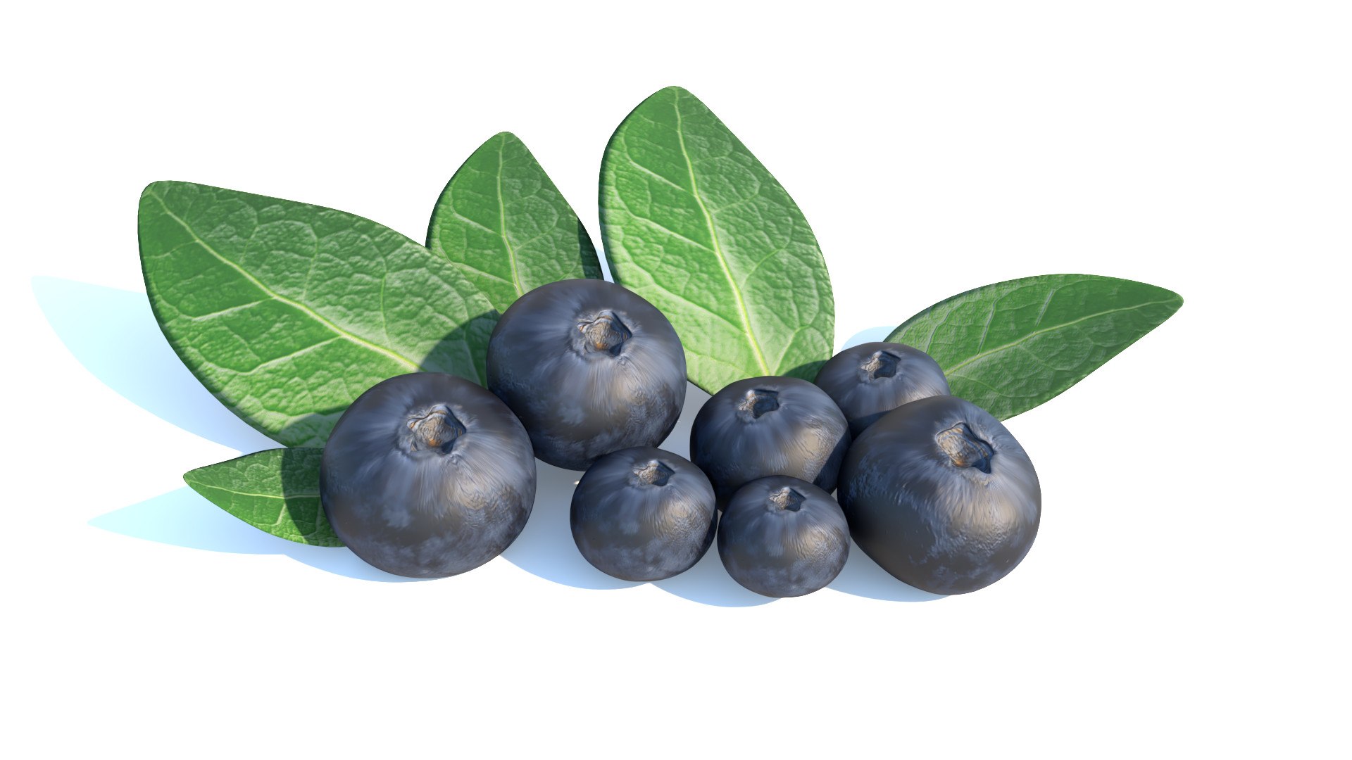 3D Model Blueberry With Leaf 3D - TurboSquid 2073654