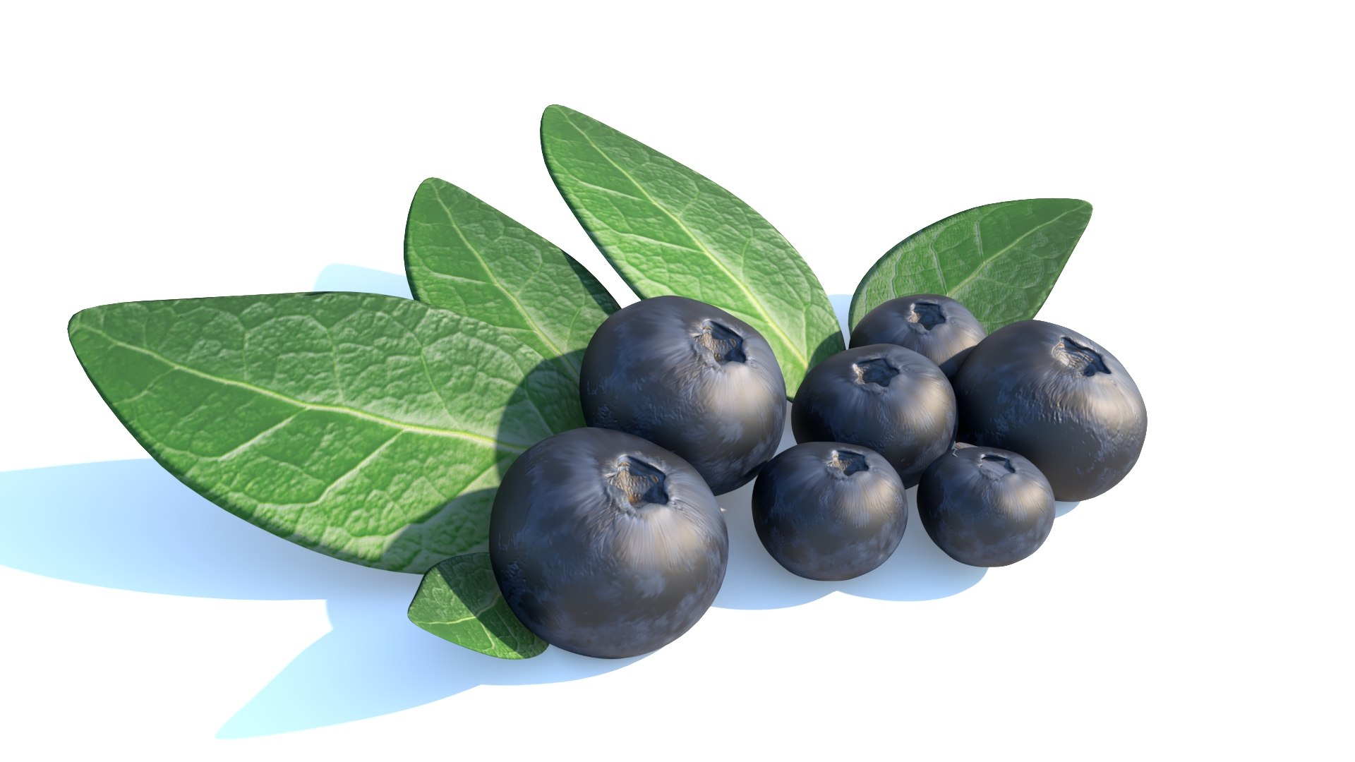 3D Model Blueberry With Leaf 3D - TurboSquid 2073654