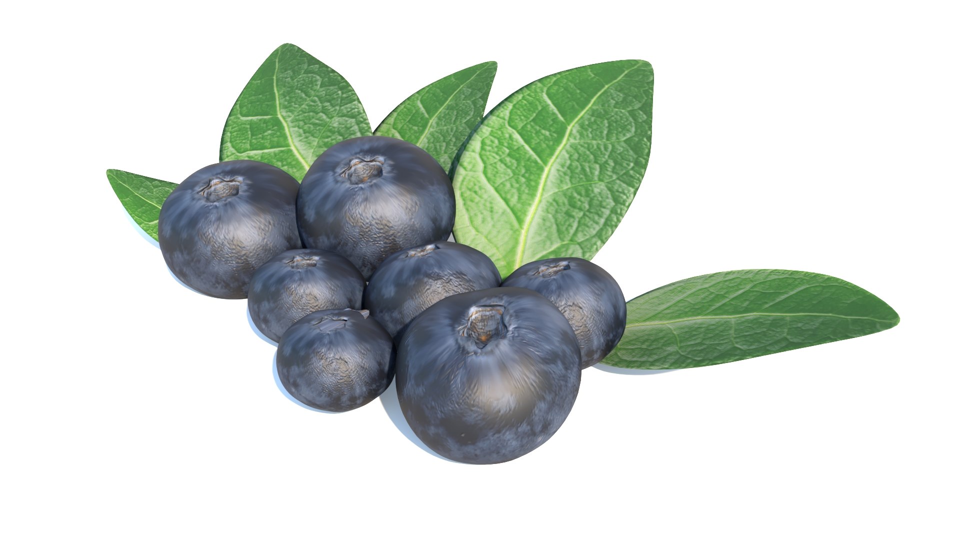 3D Model Blueberry With Leaf 3D - TurboSquid 2073654