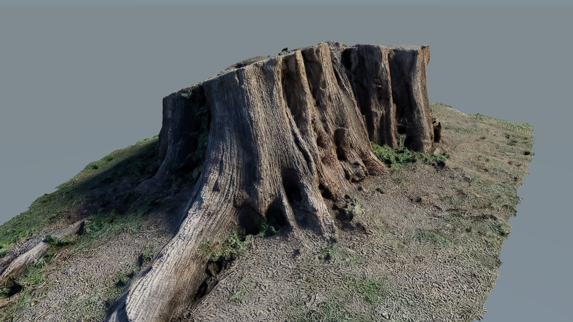 Photo-scanned tree stump model - TurboSquid 1177436