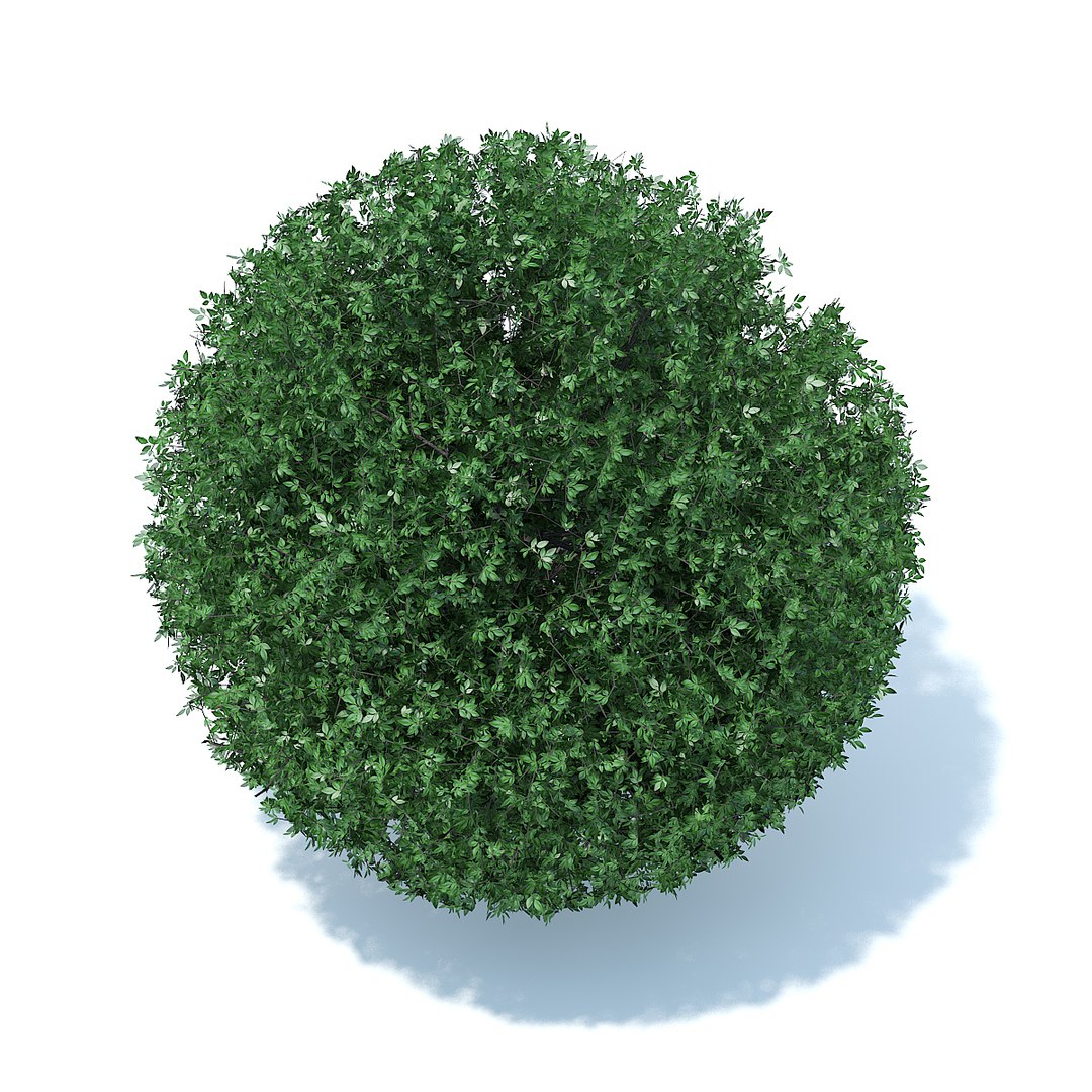 3D Spherical Shrub Model - TurboSquid 1218364