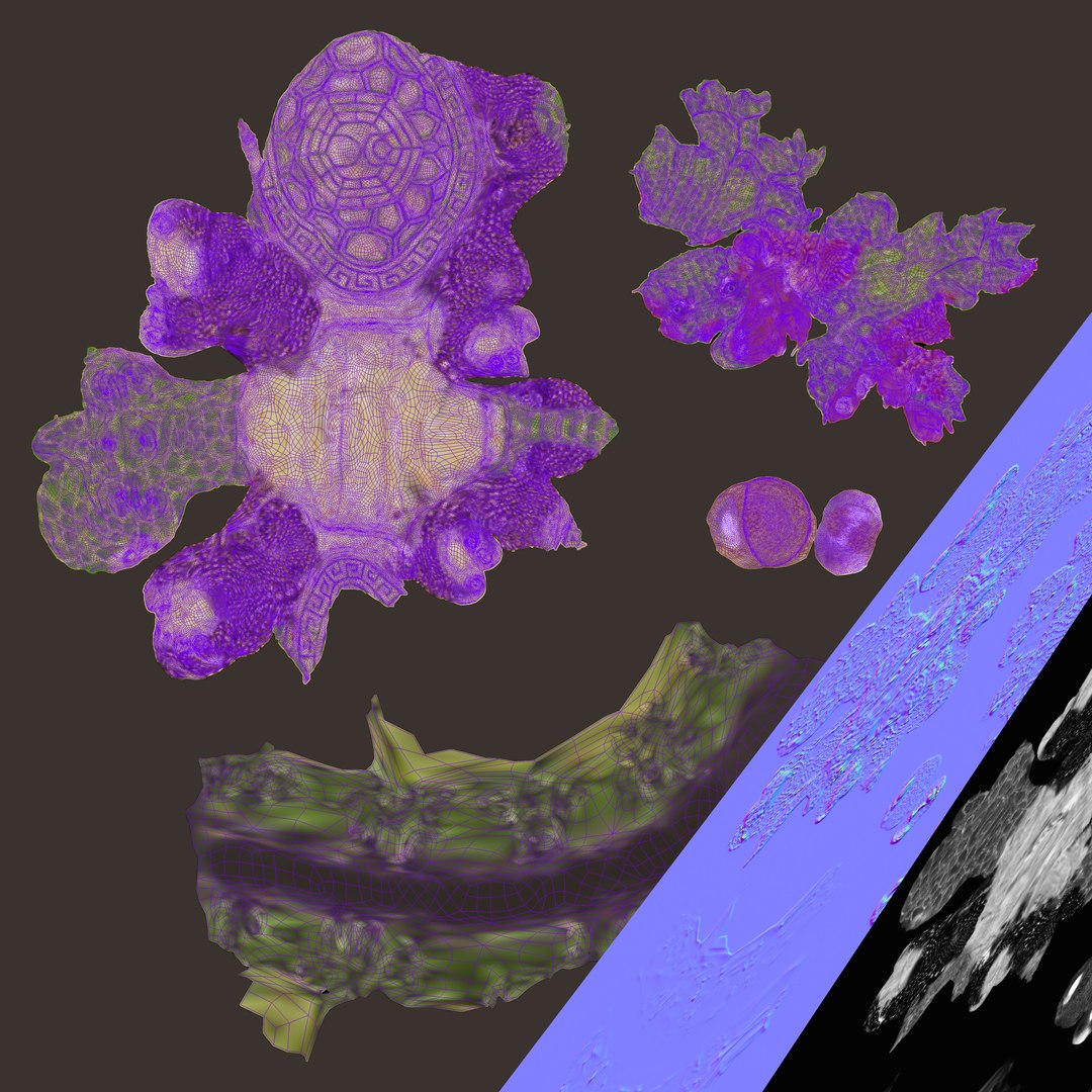 Realistic Turtle Dragon 3D Model - TurboSquid 1485779