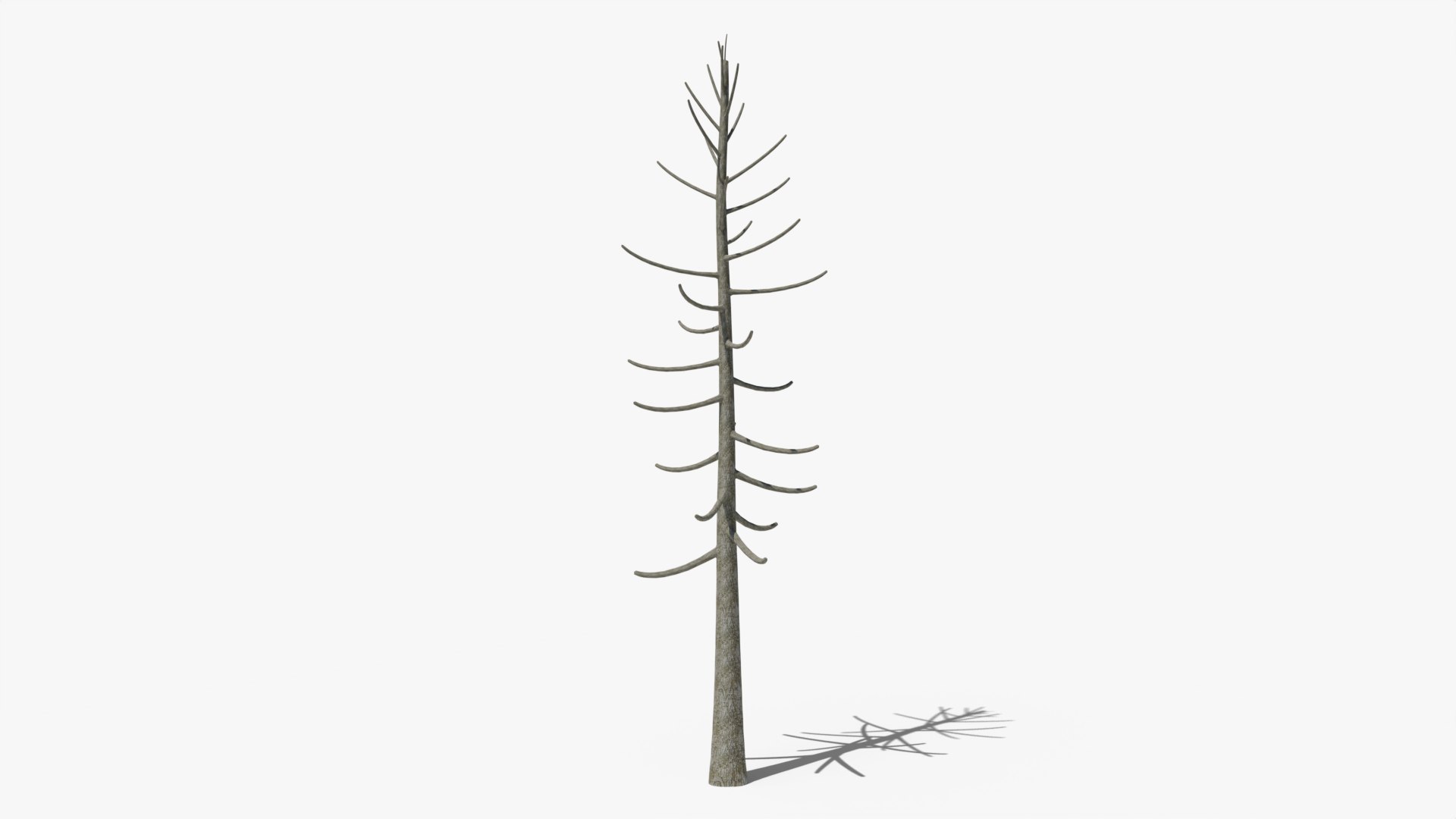 3D Dead Pine V2 Model - TurboSquid 2145263