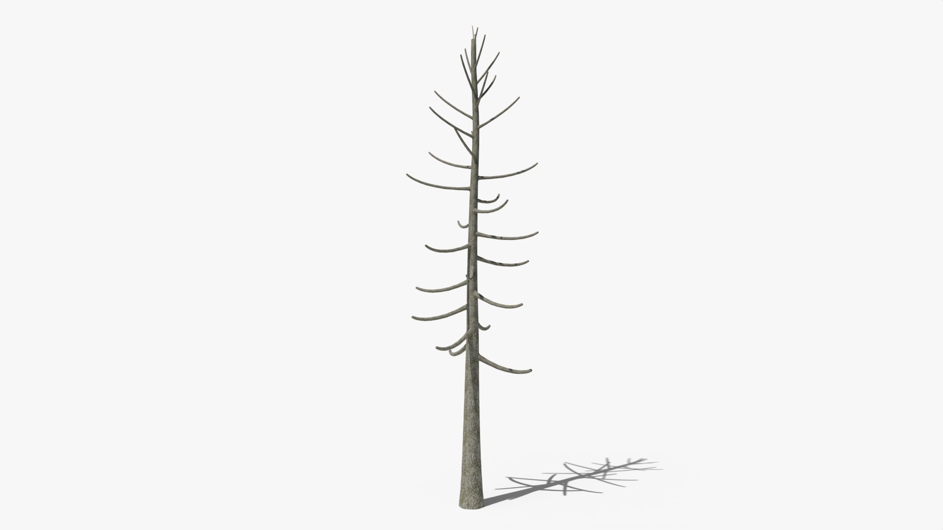 3D Dead Pine V2 Model - TurboSquid 2145263