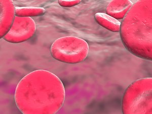 Blood 3D Models for Download | TurboSquid