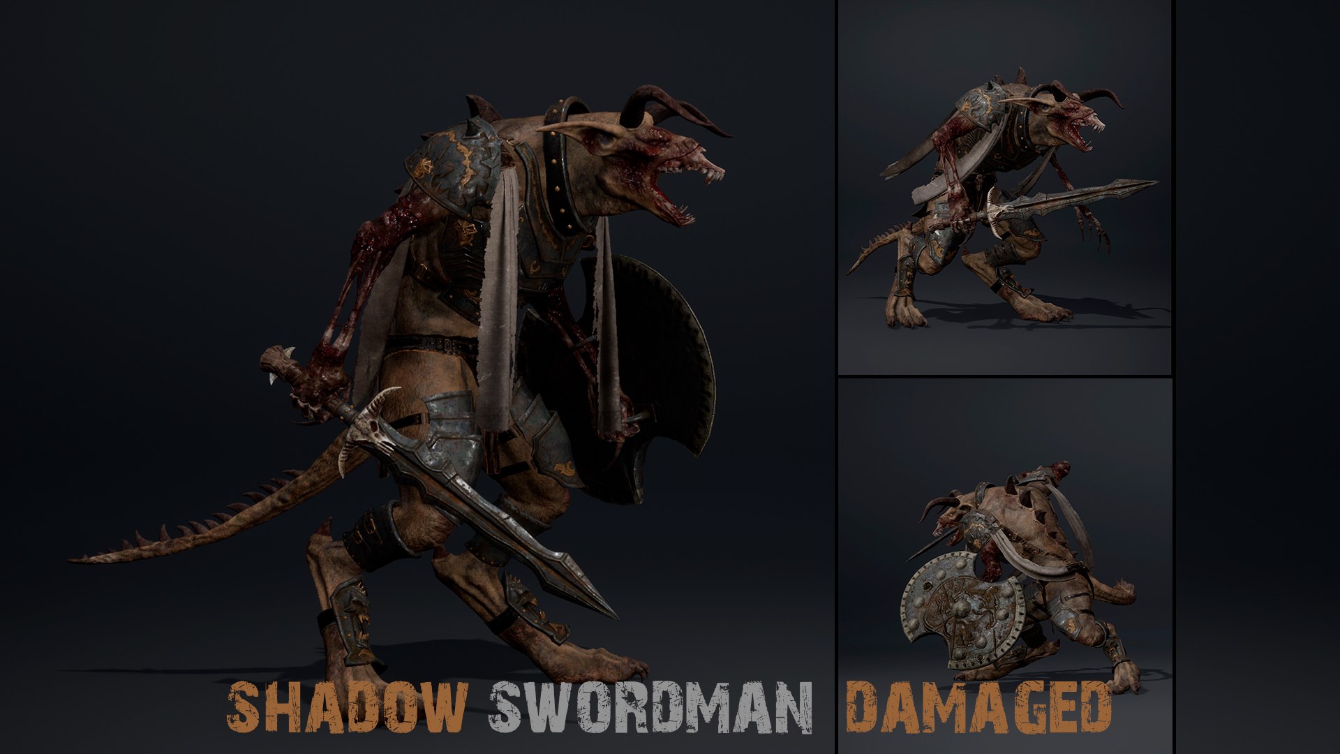 Shadow Swordman Damaged Model - TurboSquid 2320638
