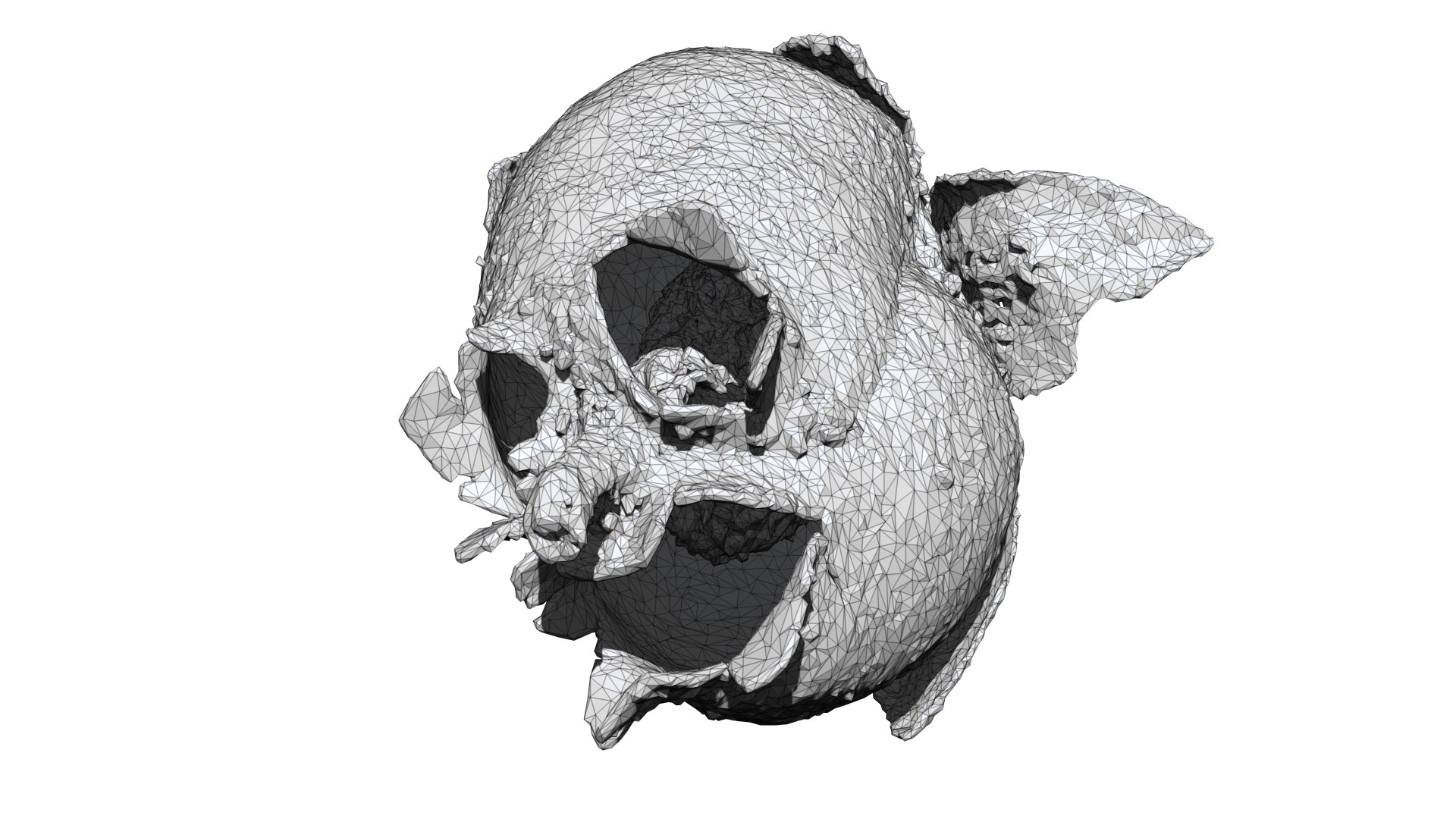 Antirrhinum Majus 3D CT Scan Model Decimate 8 Percent Model ...