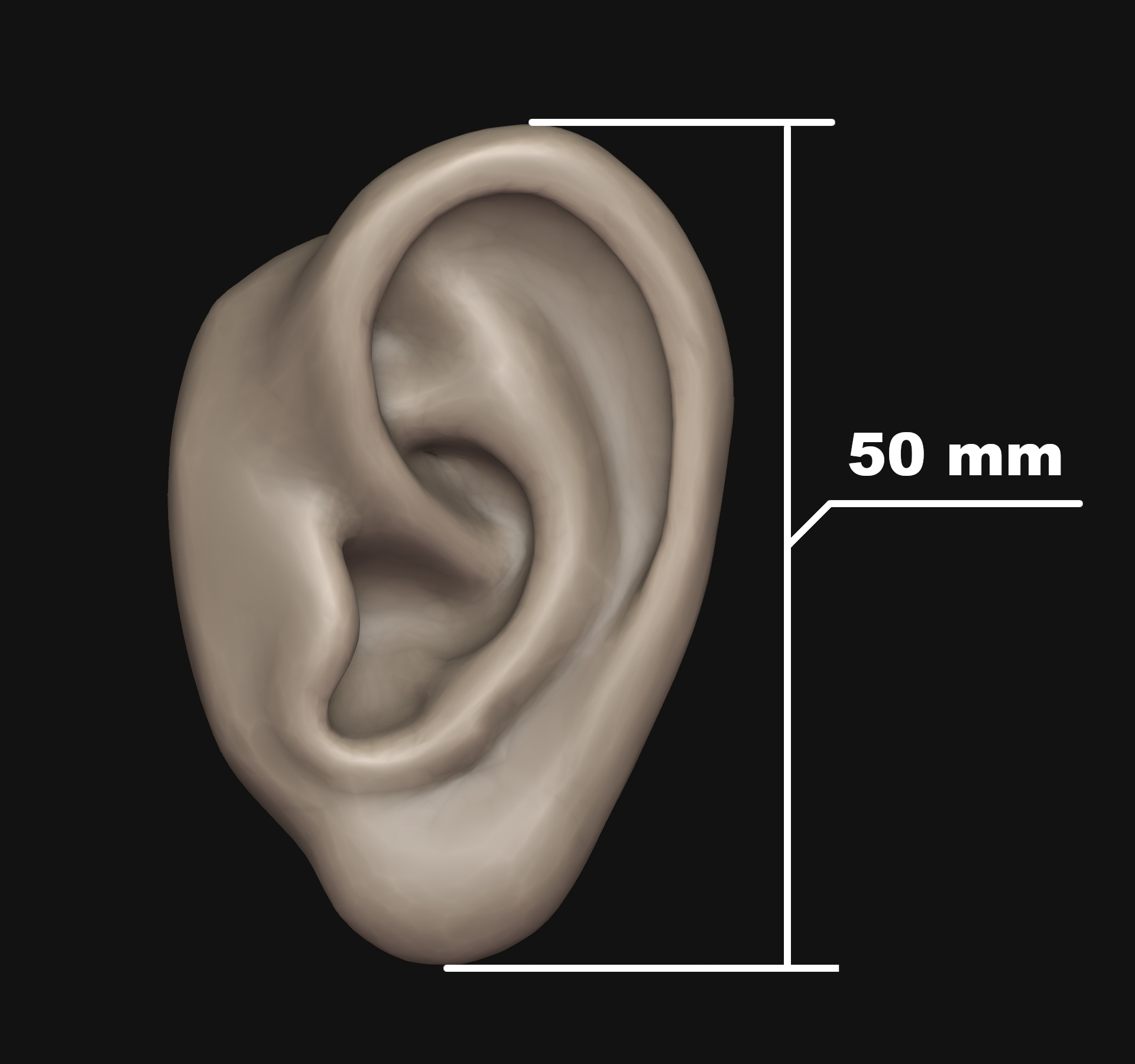 modèle 3D de Impression 3D de l'oreille humaine - TurboSquid 1872923