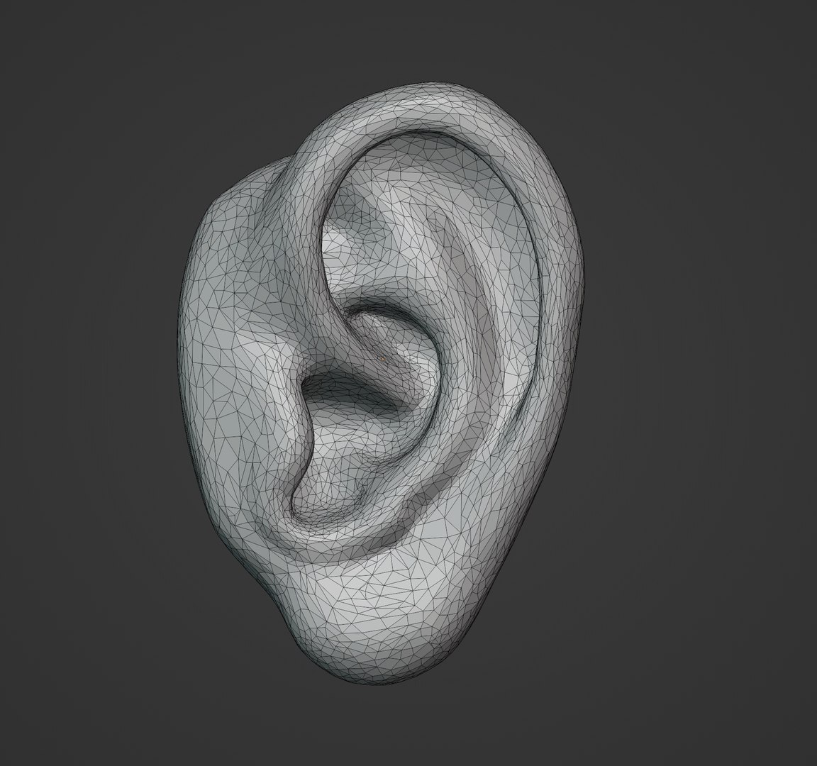 3D Human Ear 3D Print - TurboSquid 1872923