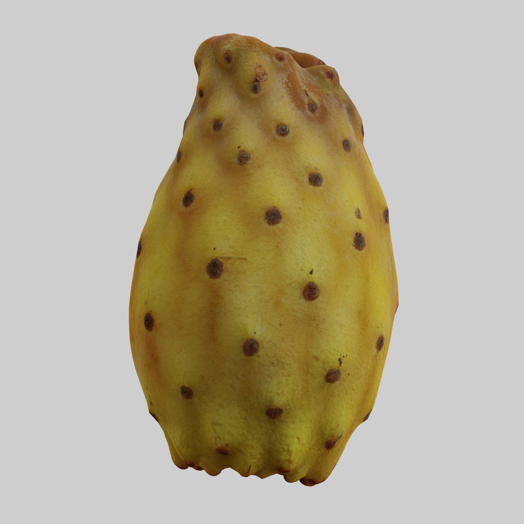 Prickly Pear Model - TurboSquid 2114375