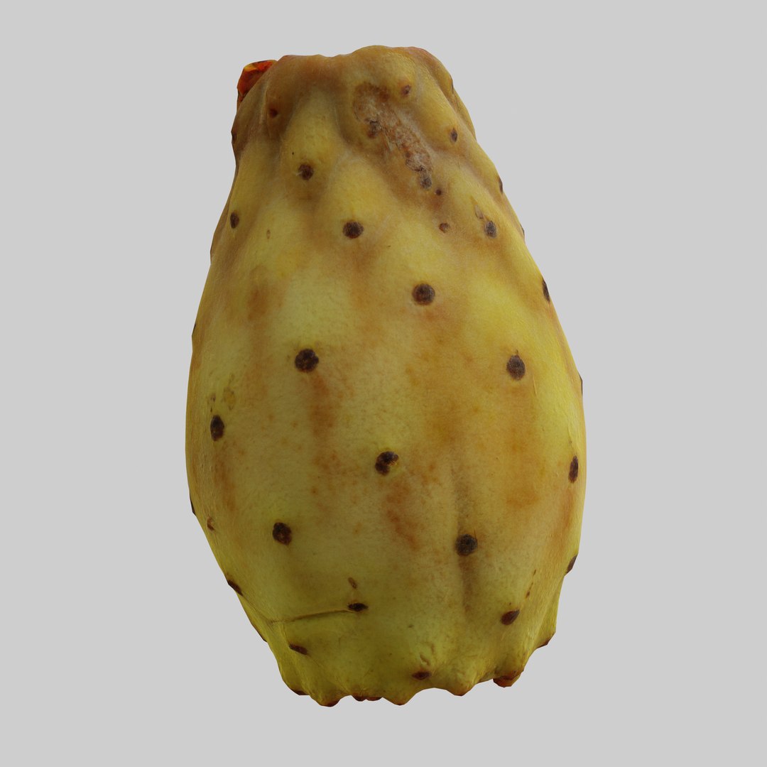 Prickly Pear Model - TurboSquid 2114375
