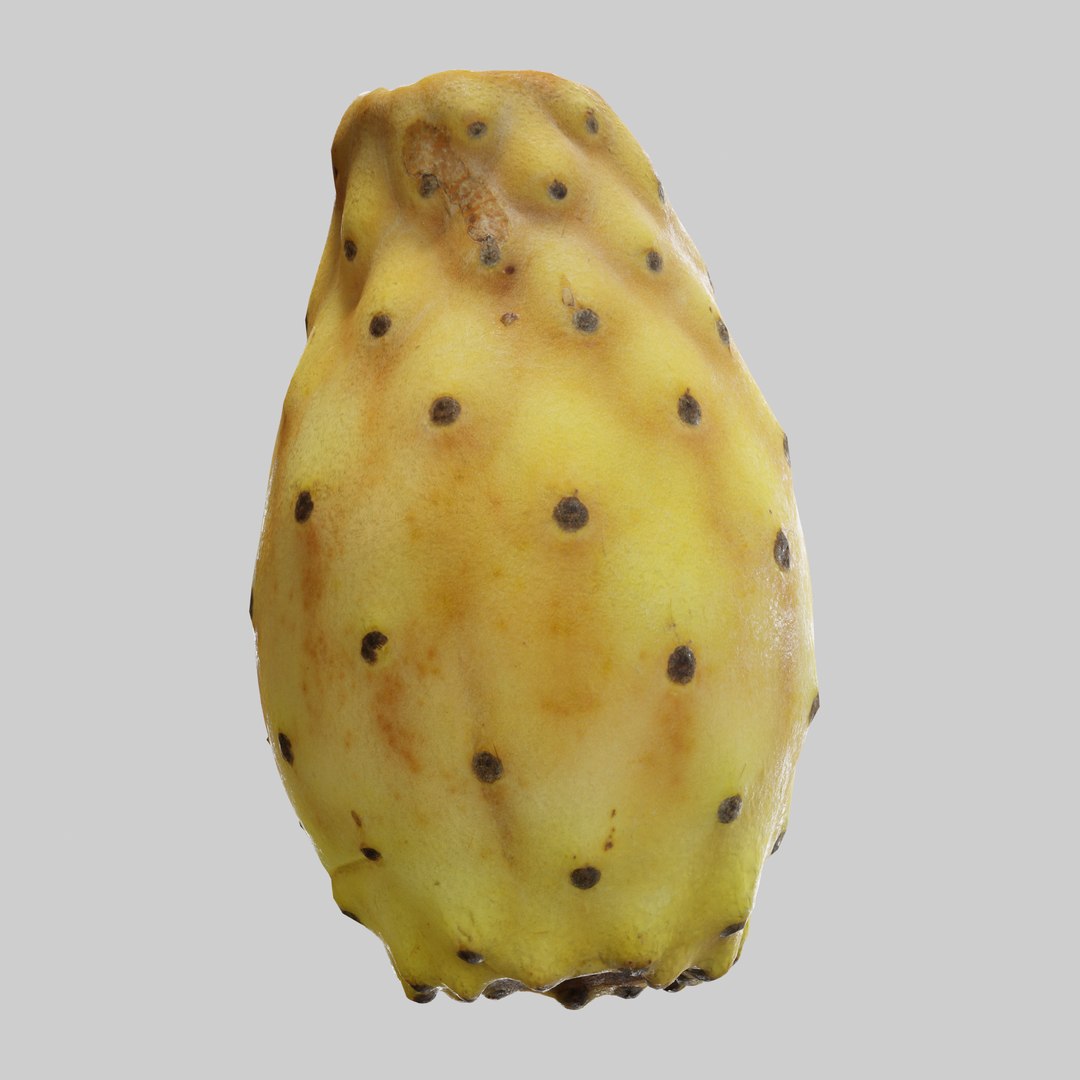Prickly Pear Model - TurboSquid 2114375