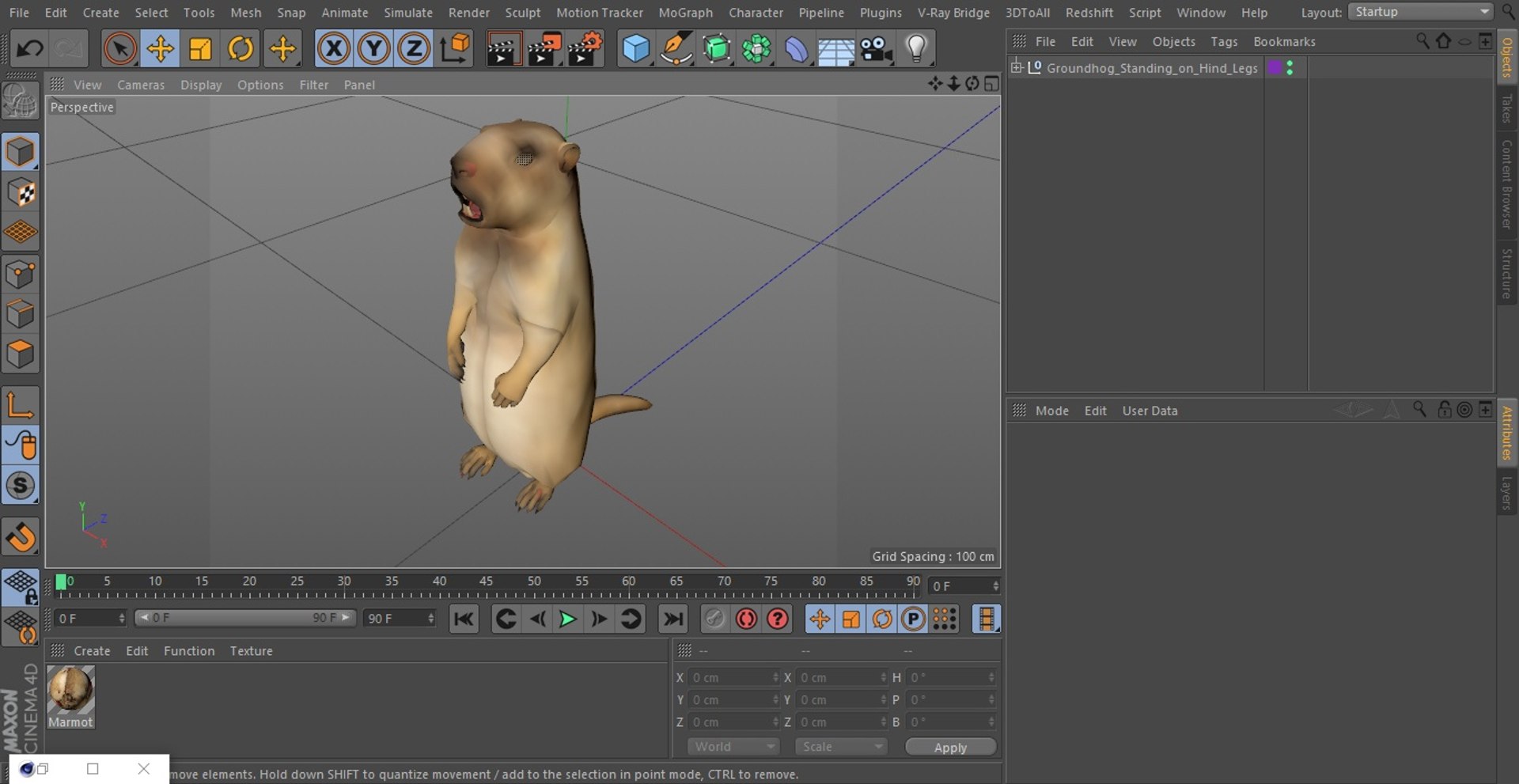 Groundhog Standing On Hind Legs 3D Model - TurboSquid 1964246