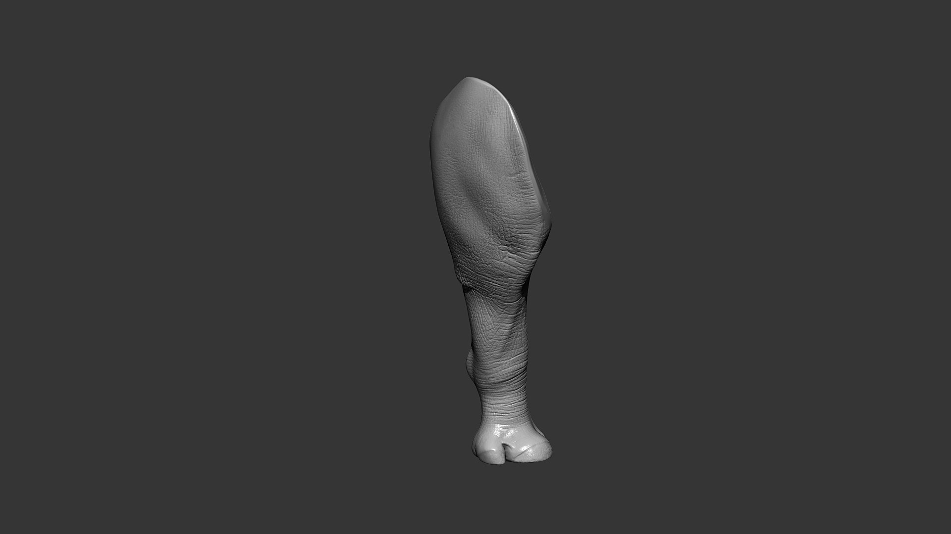 Rhino Rear Leg Highpoly Sculpt 3D - TurboSquid 1806613
