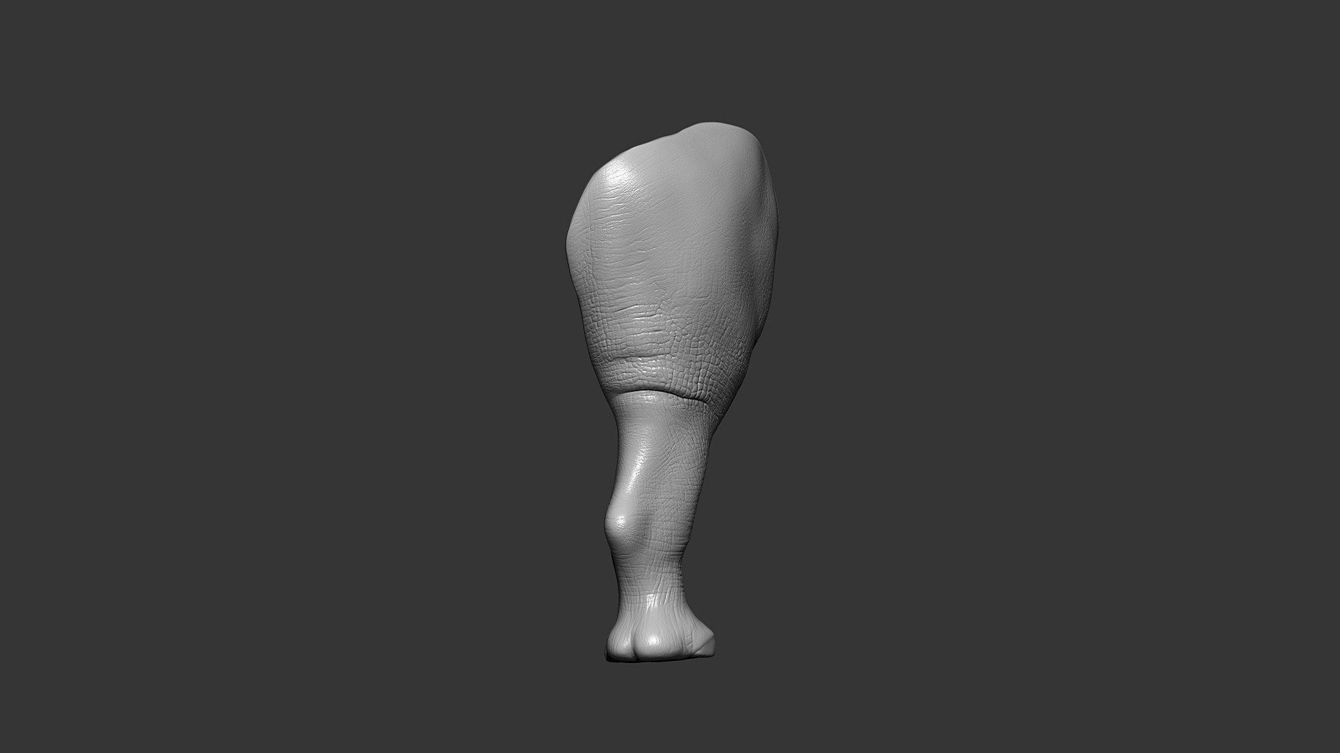 Rhino Rear Leg Highpoly Sculpt 3D - TurboSquid 1806613