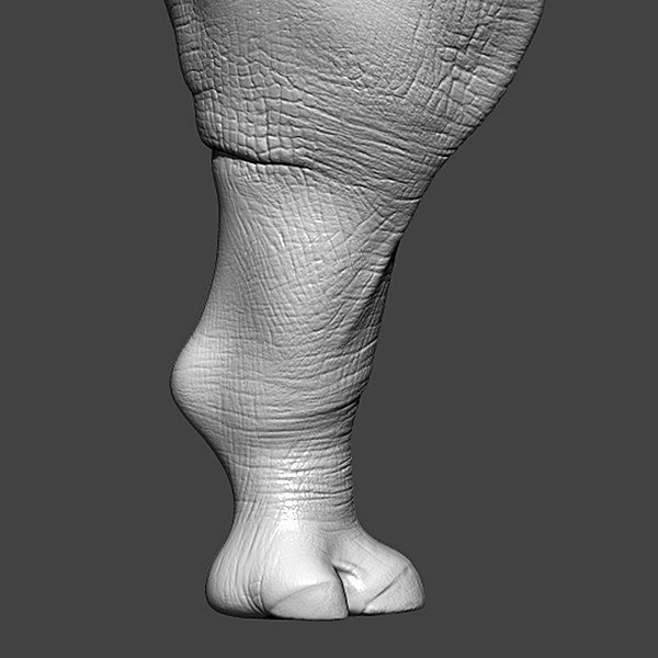 Rhino 뒷다리 하이폴리 스컬프트 3D 모델 - TurboSquid 1806613