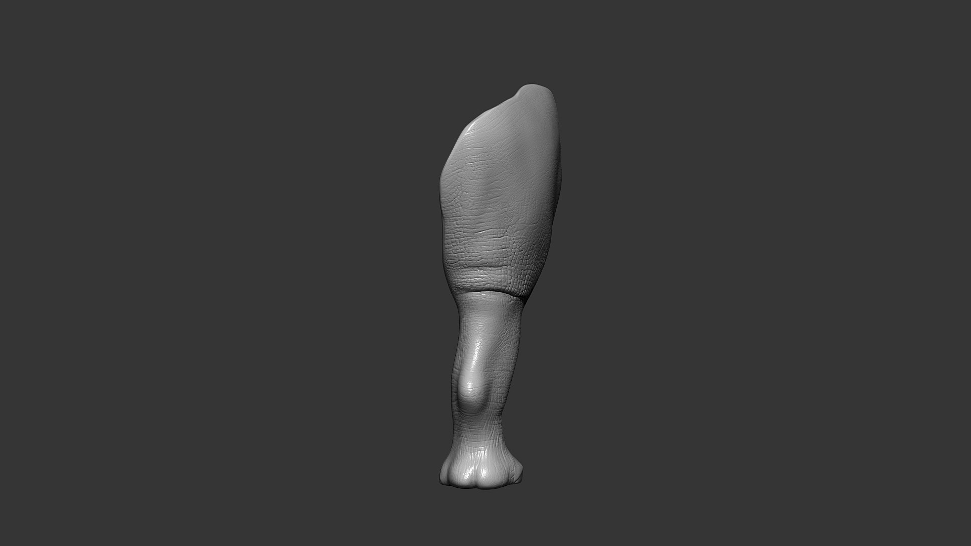 Rhino Rear Leg Highpoly Sculpt 3D - TurboSquid 1806613