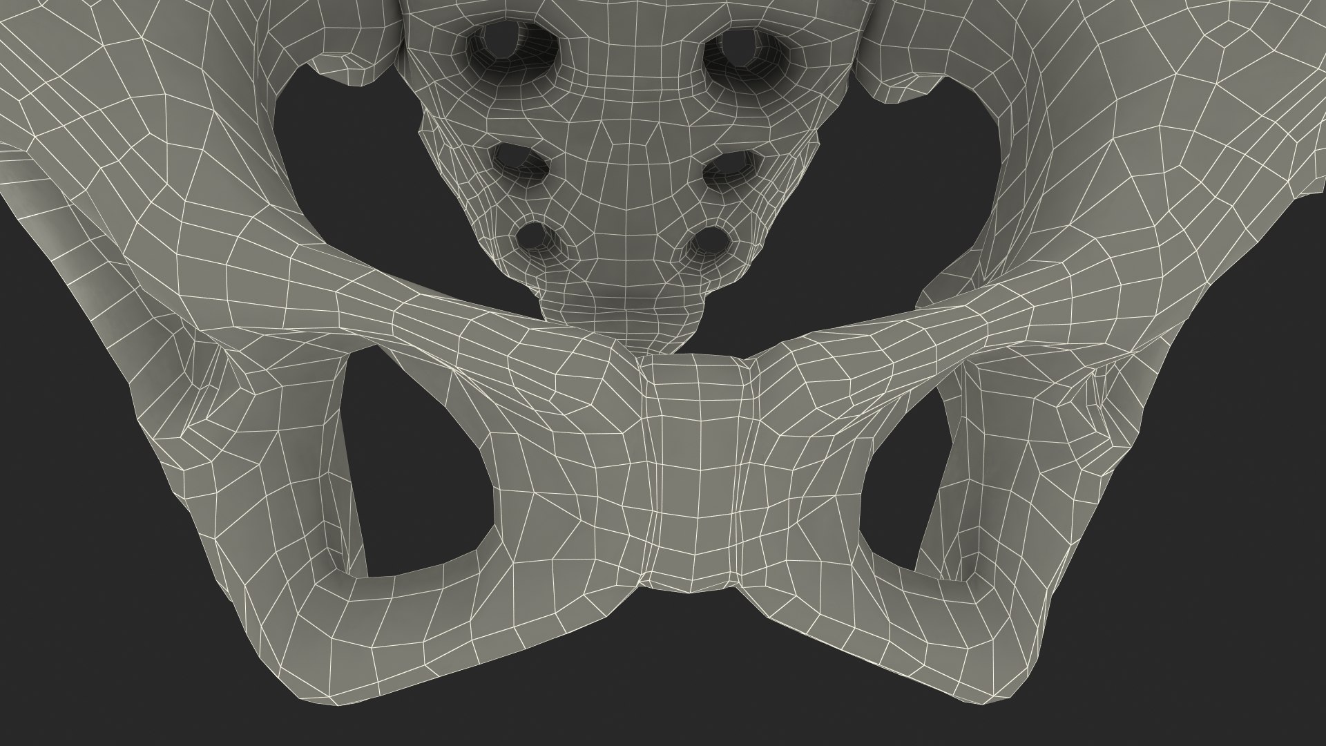 3D Human Female Pelvis Anatomy Model - TurboSquid 2386670