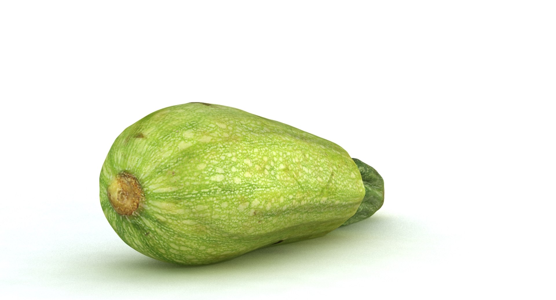 Squash 3d Model