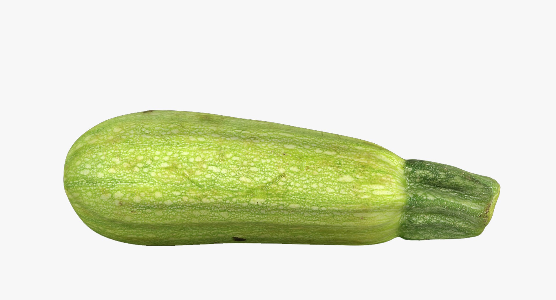 Squash 3d Model