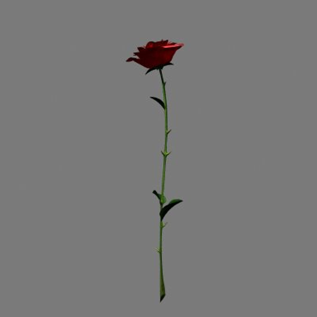 free rose 3d model
