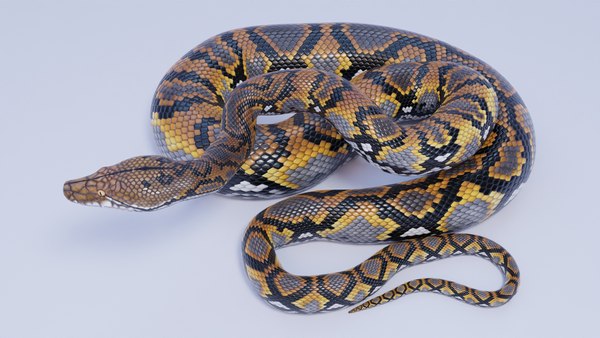 Python Reticulado Vs Anaconda The Reticulated Python (Python