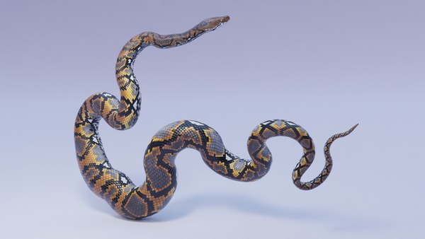 Reticulated Python model - TurboSquid 1833686