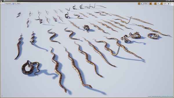 Reticulated Python model - TurboSquid 1833686