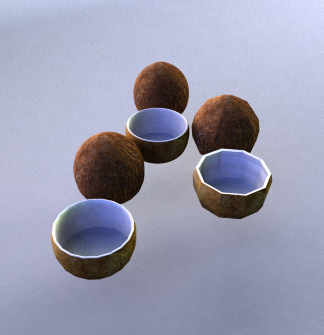 3d model coconut