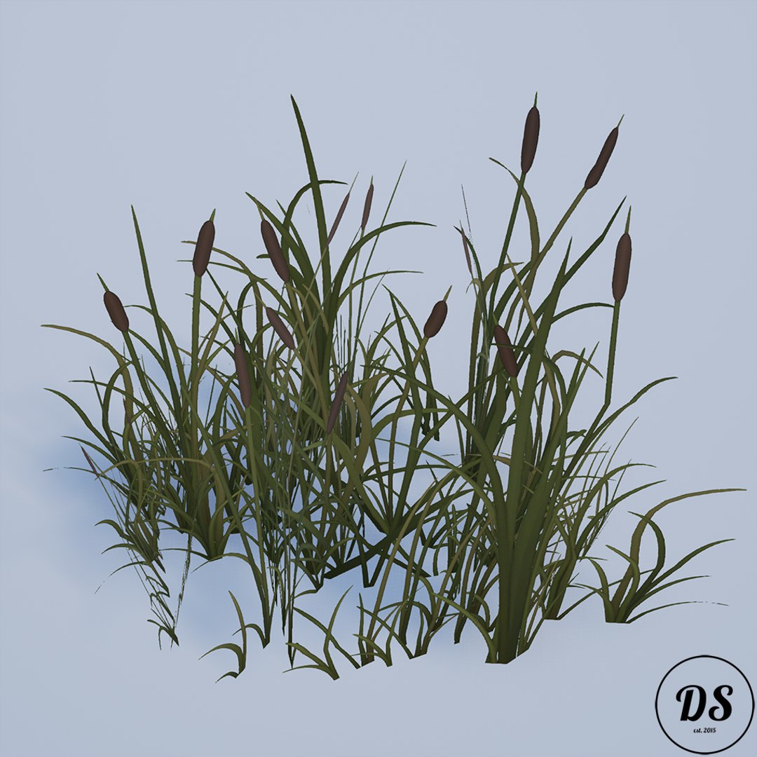 3d grass realistic model