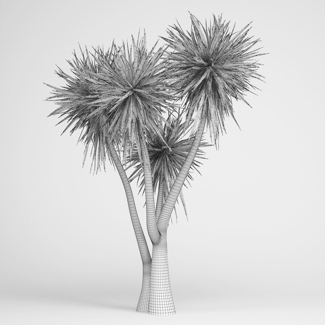 volume 15 coconut tree 3d model