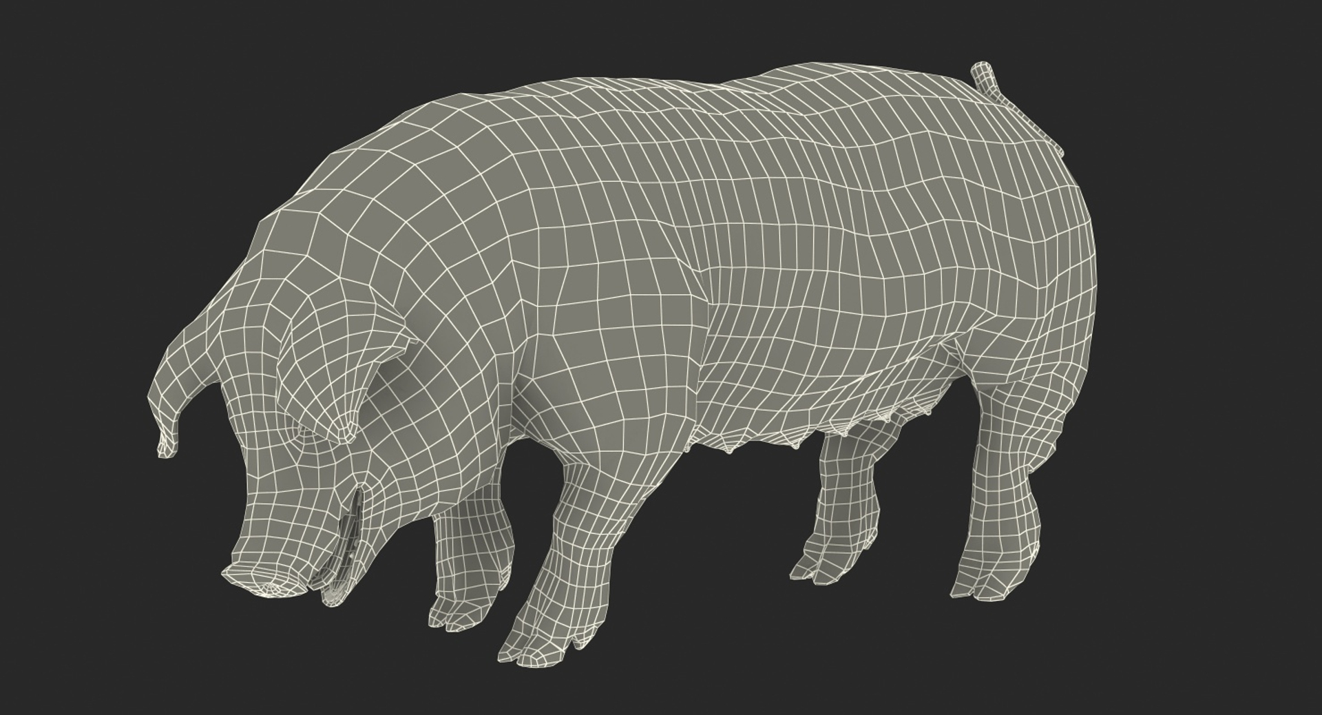 3D Hampshire Pig Sow Standing Model - TurboSquid 1355712