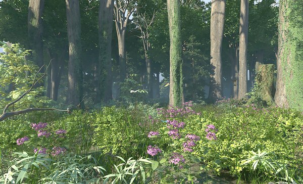 Forest 3D Models for Download | TurboSquid