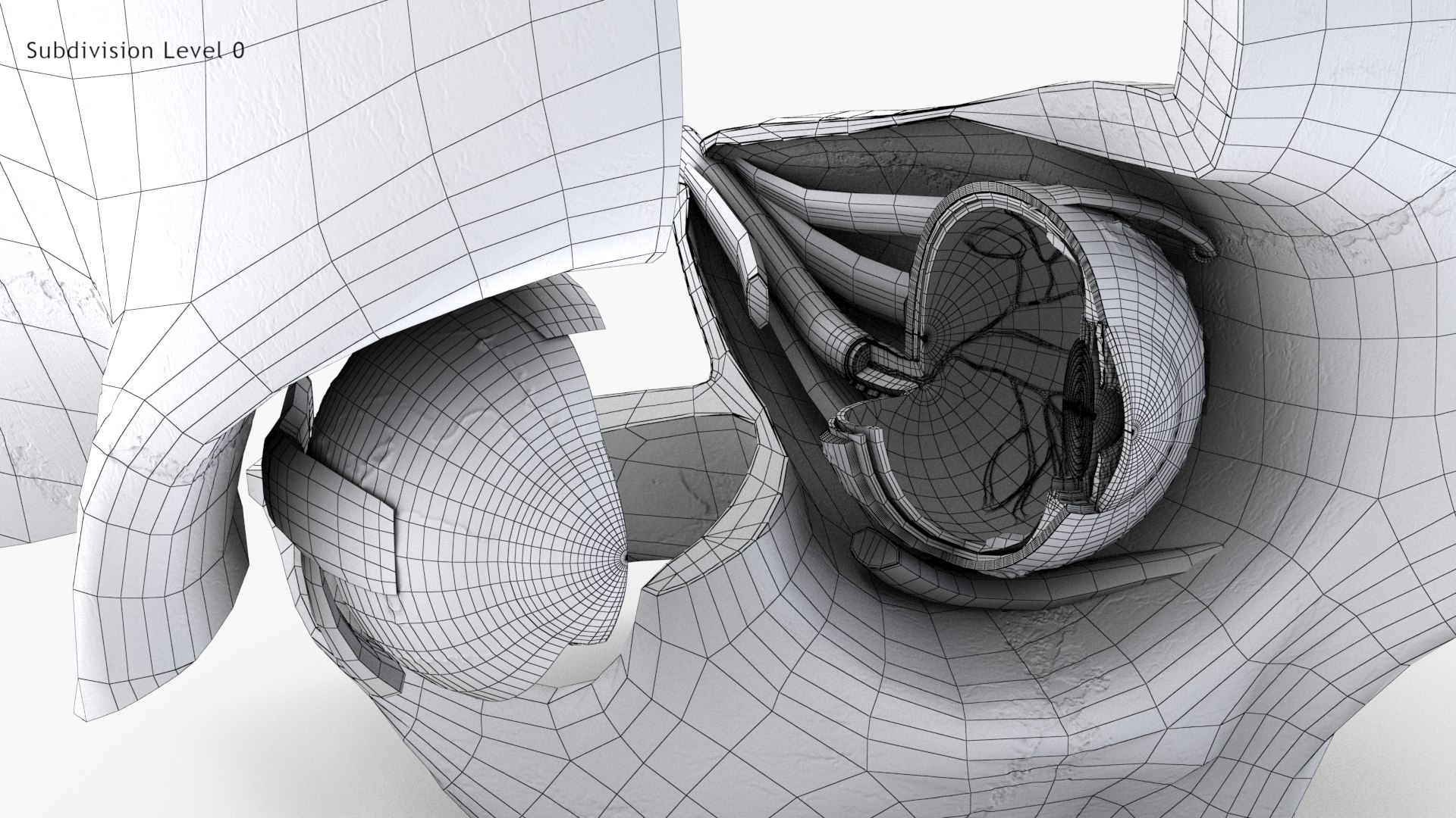 3D human eye anatomical cross section model - TurboSquid 1482259