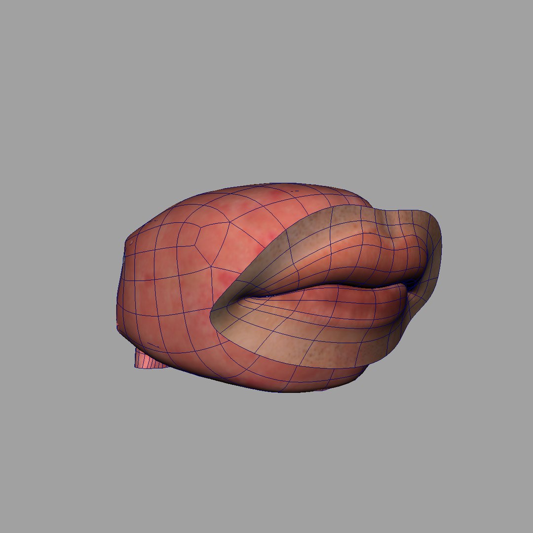 3D realistic rigged human mouth model - TurboSquid 1296066