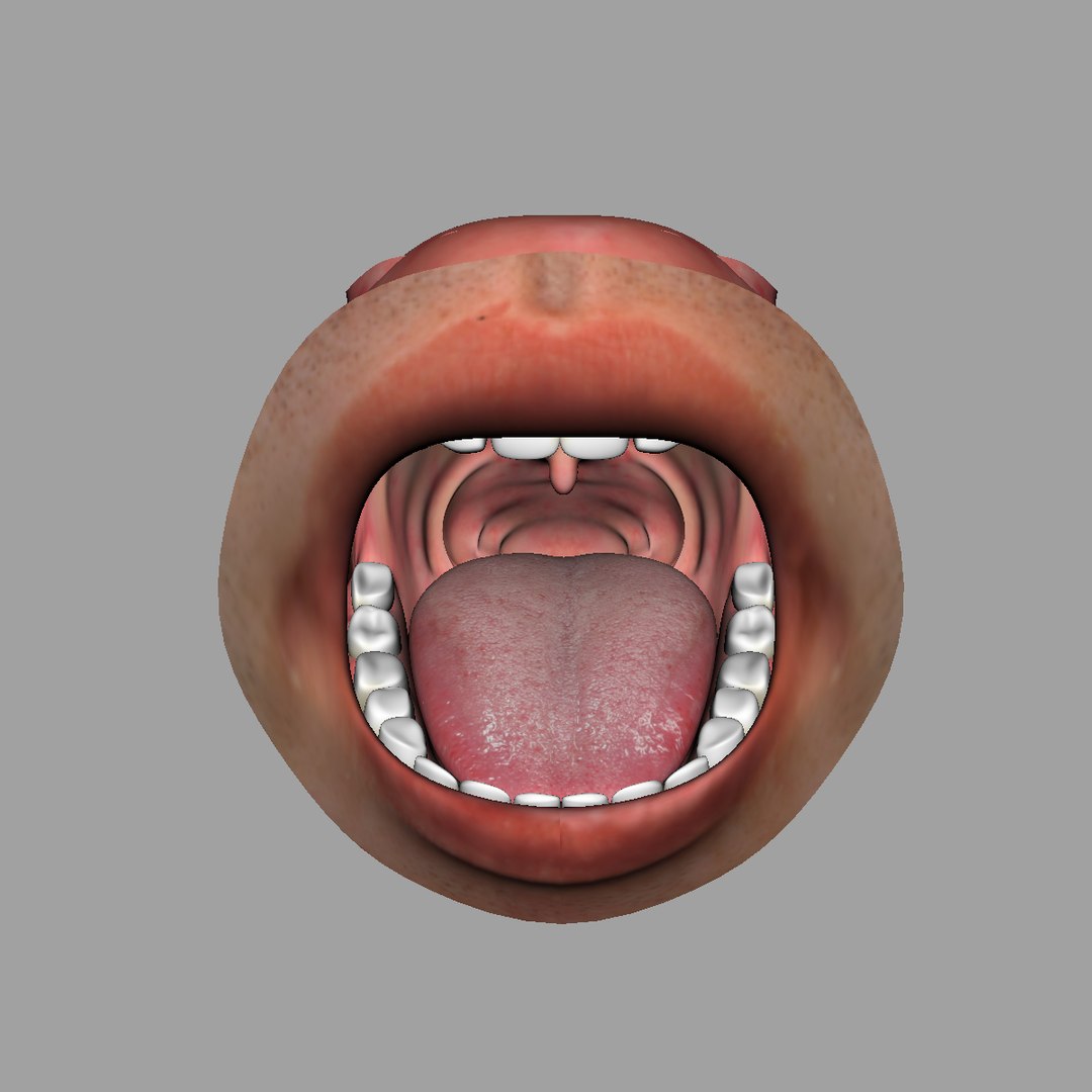 3D realistic rigged human mouth model - TurboSquid 1296066